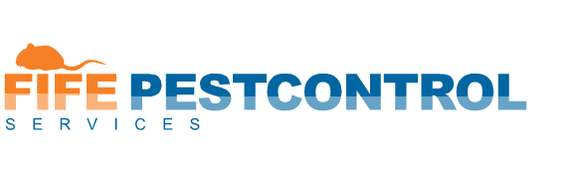 Pest Control Fife, Wasp Nest Removal Fife, Fife Council Trusted Pest Control